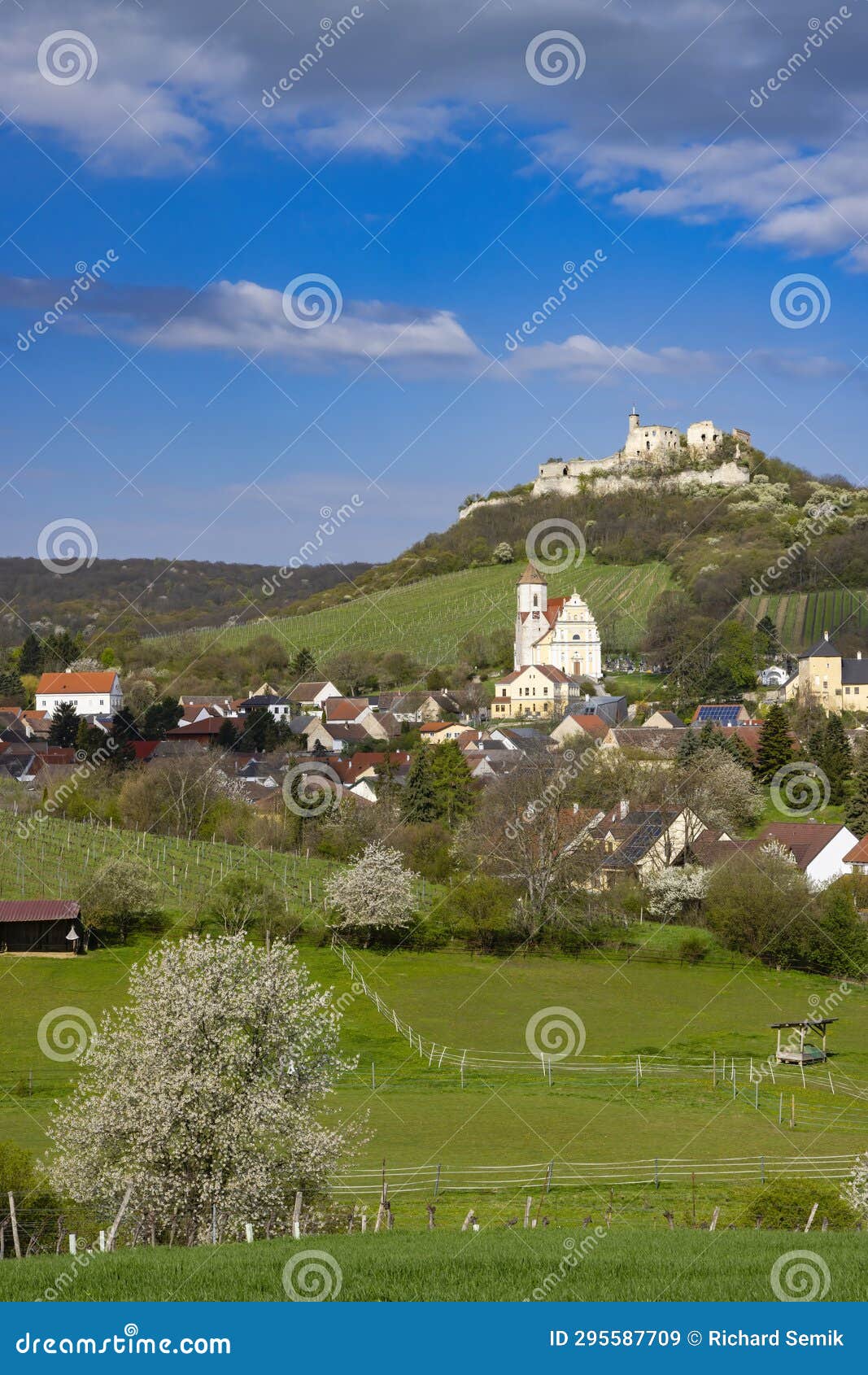 Falkenstein Ruins and Town with Vineyard, Lower Austria, Austria Stock ...