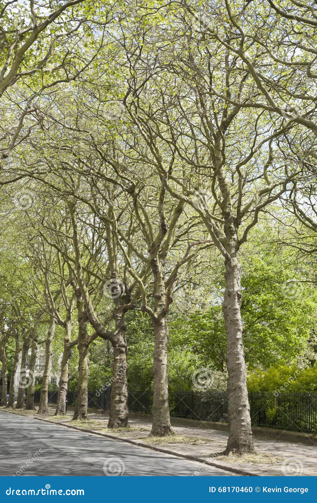 Falkner Square; Liverpool; England Stock Photo - Image of liverpool ...