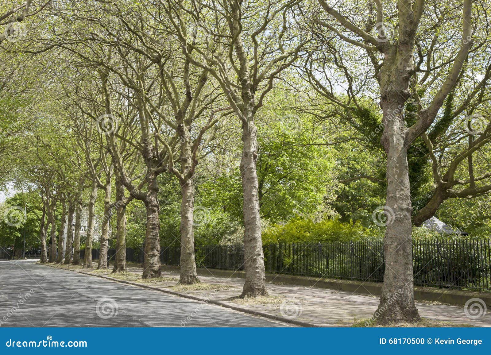 Falkner Square; Liverpool; England Stock Photo - Image of park, outside ...
