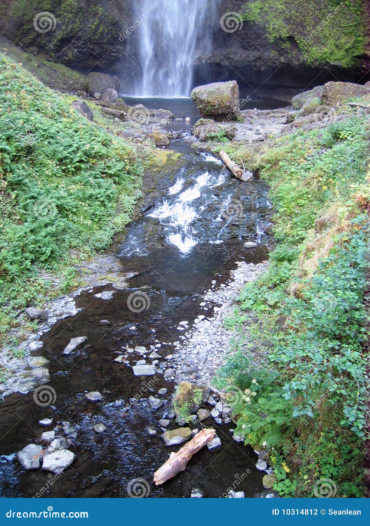 Fall stock photo. Image of spring, falls, moss, seasonal - 10314812