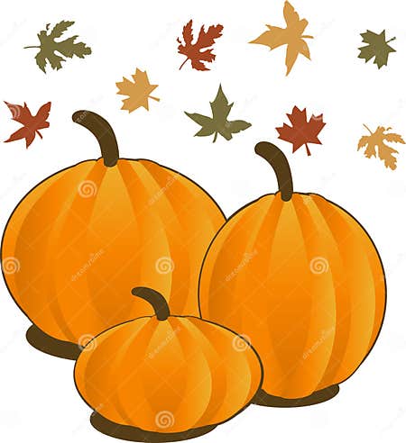 Fall stock vector. Illustration of pumpkins, september - 11316494