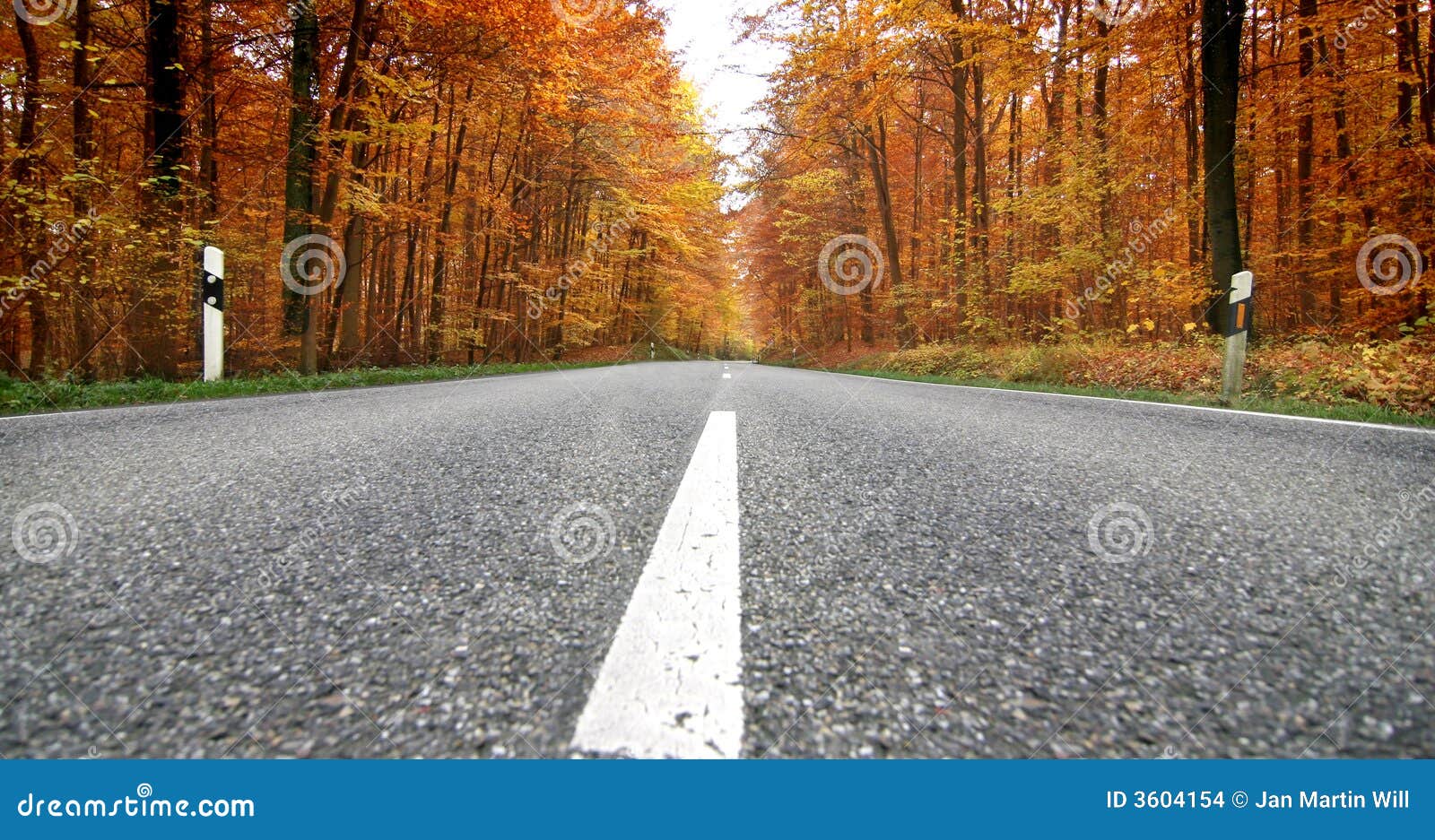 Fall stock photo. Image of leaves, road, travel, direction - 3604154