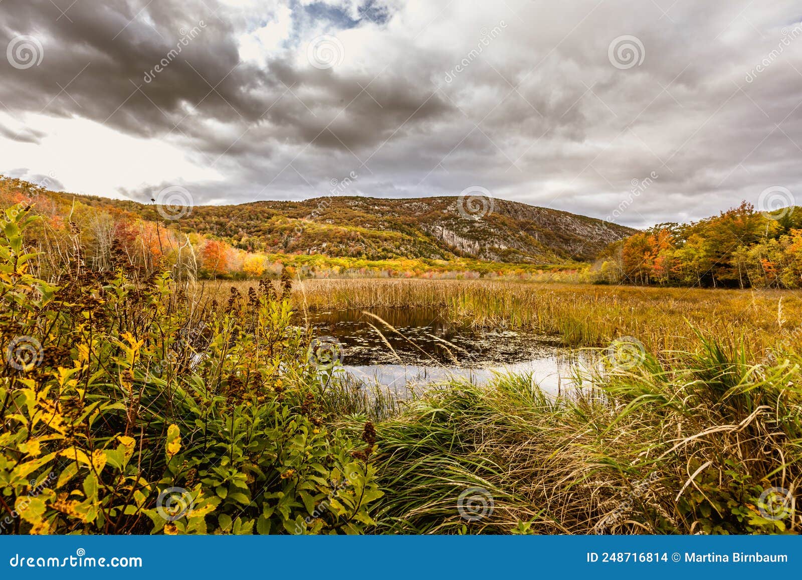 Fall in the Acadia National Park with Colorful Fall Foliage and ...