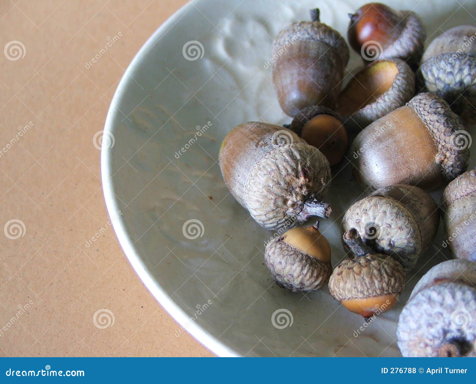 Fall Acorns stock photo. Image of autumn, brown, symbolic - 276788
