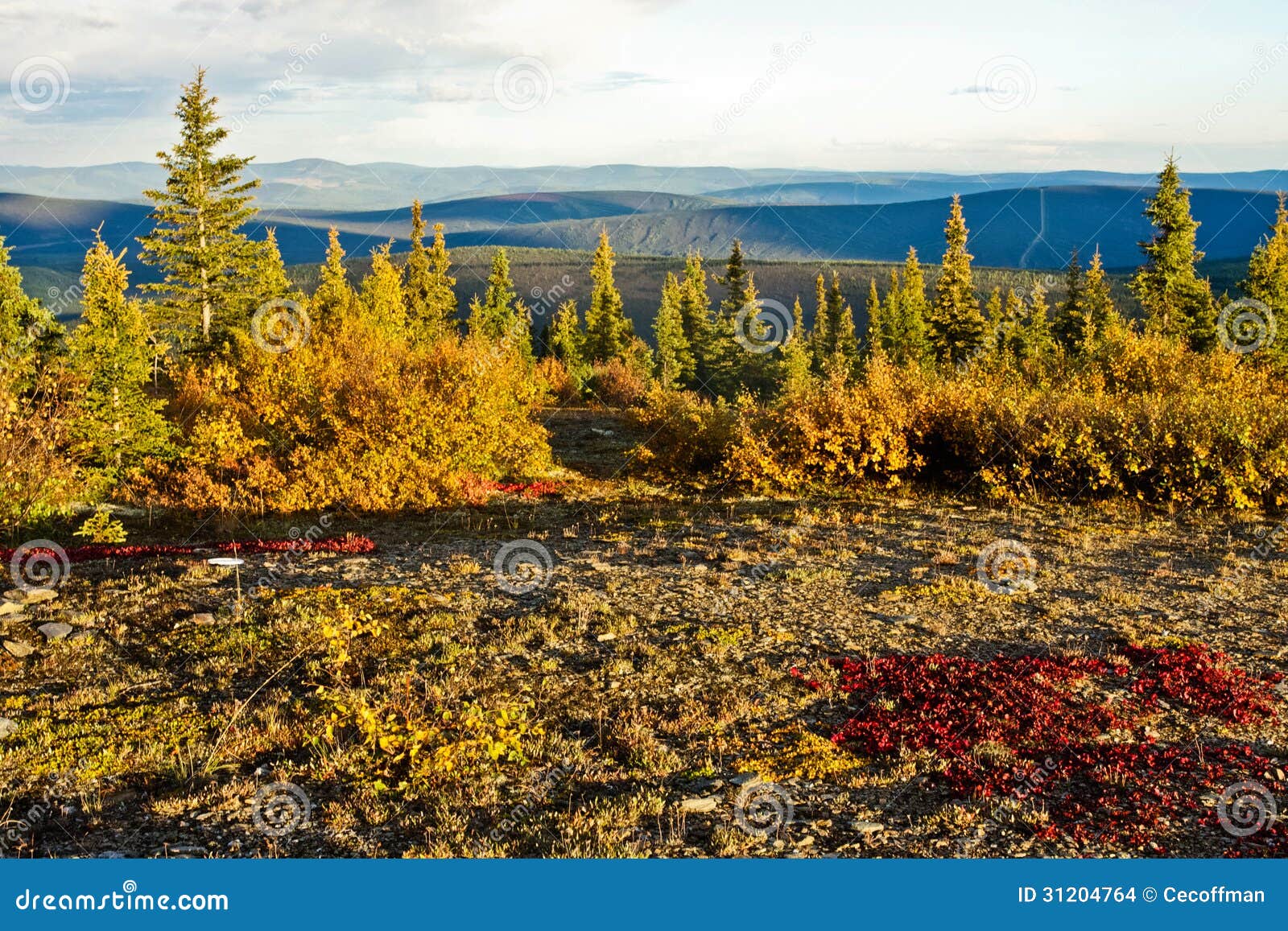 Fall in Alaska s Interior stock photo. Image of hills - 31204764