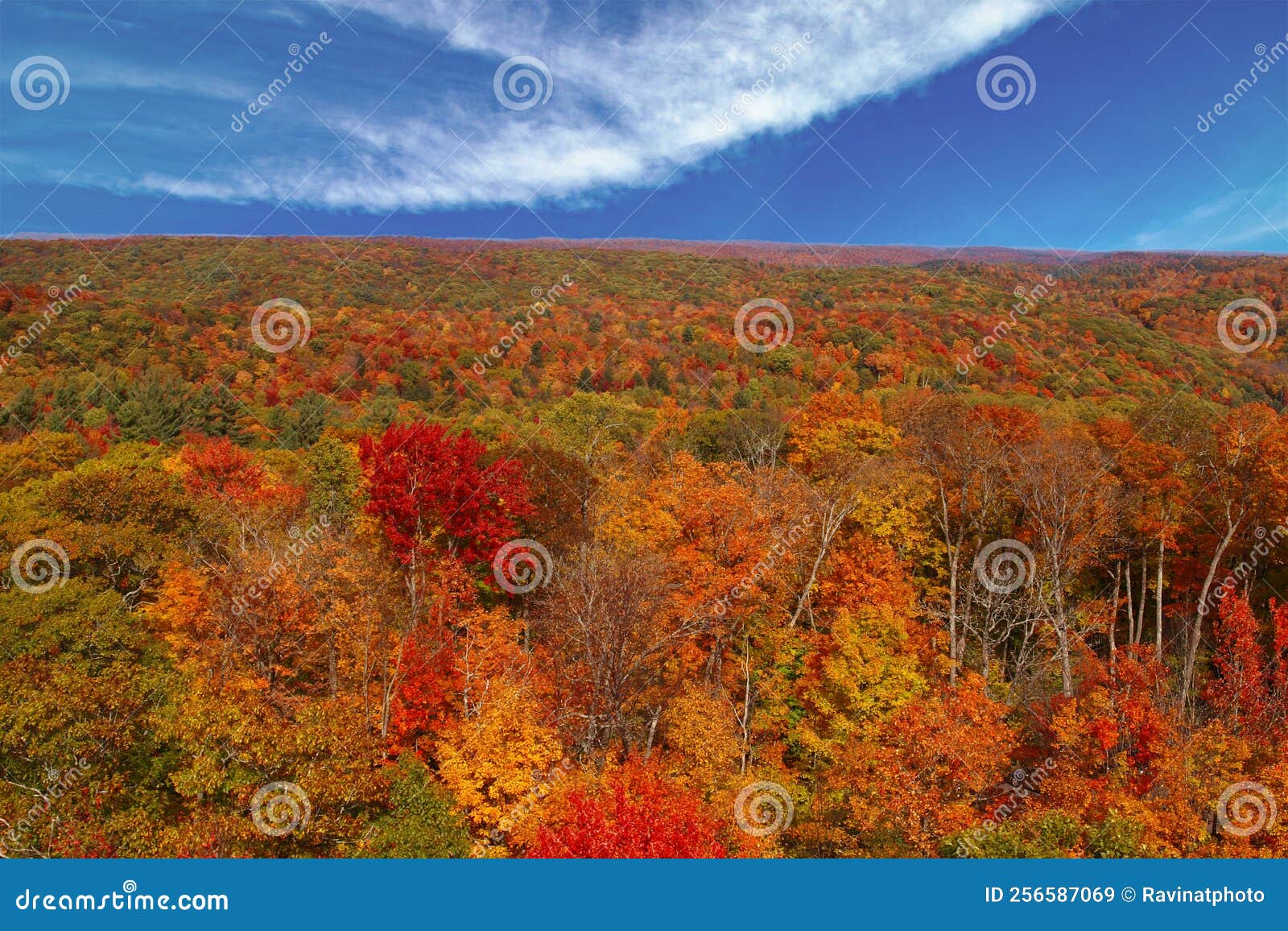Fall in Algonquin Prov Park, Ontario, Canada Stock Image - Image of ...