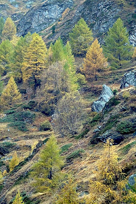 Fall Alpine scene stock image. Image of nature, switzerland - 110207