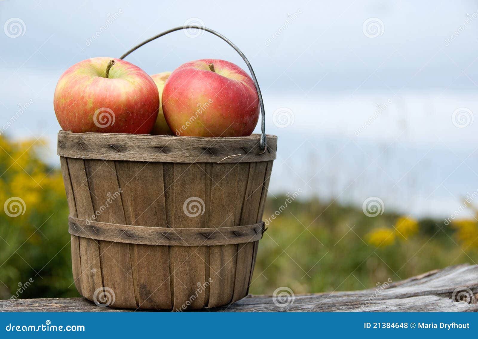 540 Juicy Log Stock Photos - Free & Royalty-Free Stock Photos from ...