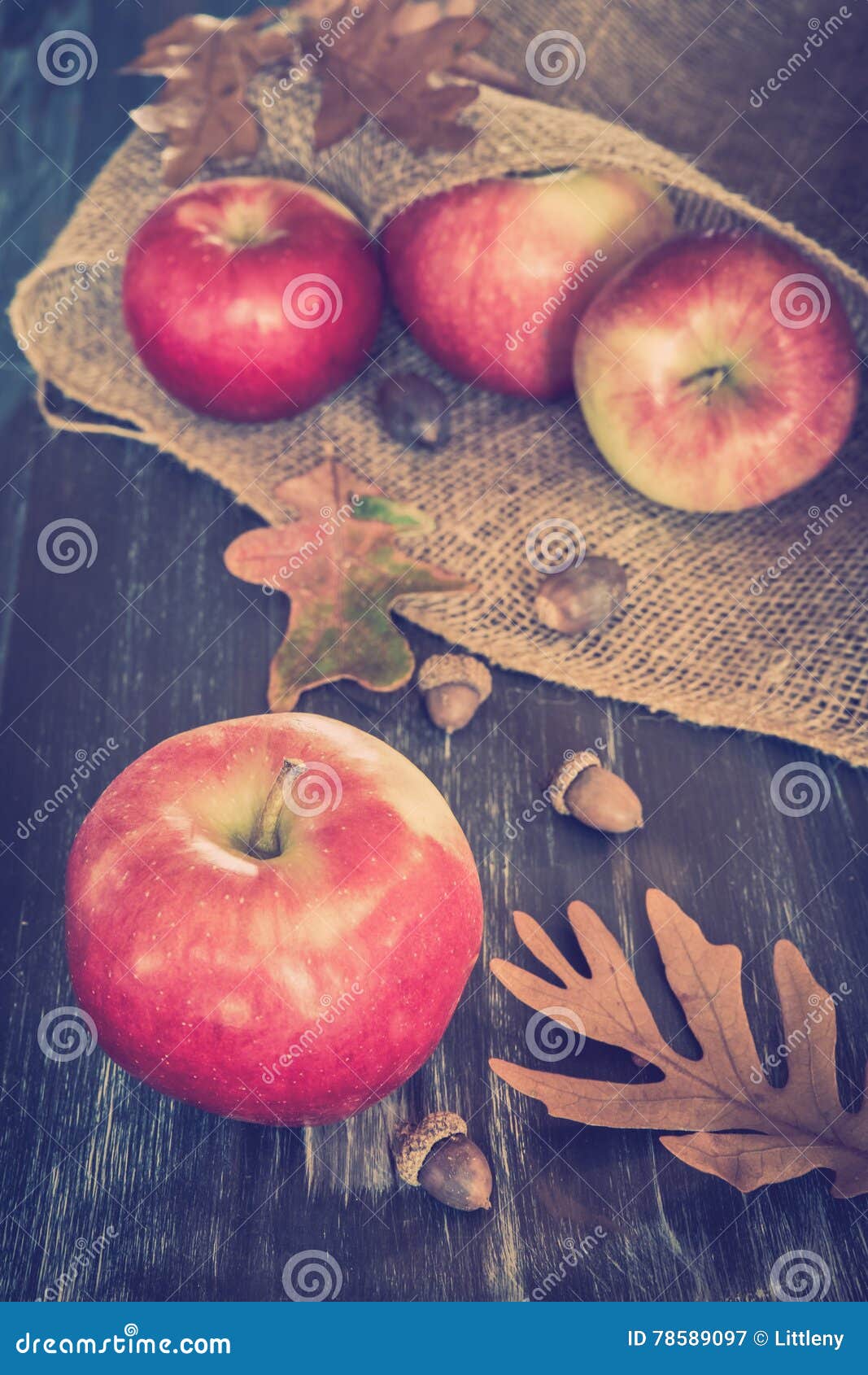 Fall Apples stock image. Image of fruit, harvest, health - 78589097