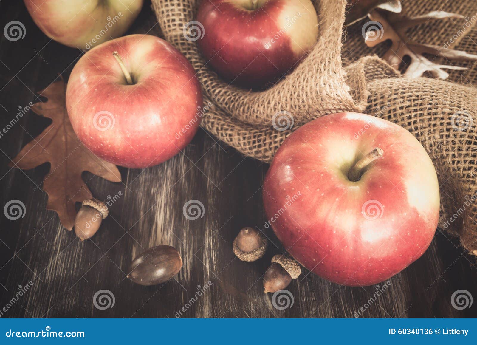 Fall Apples stock photo. Image of autumn, color, leaf - 60340136