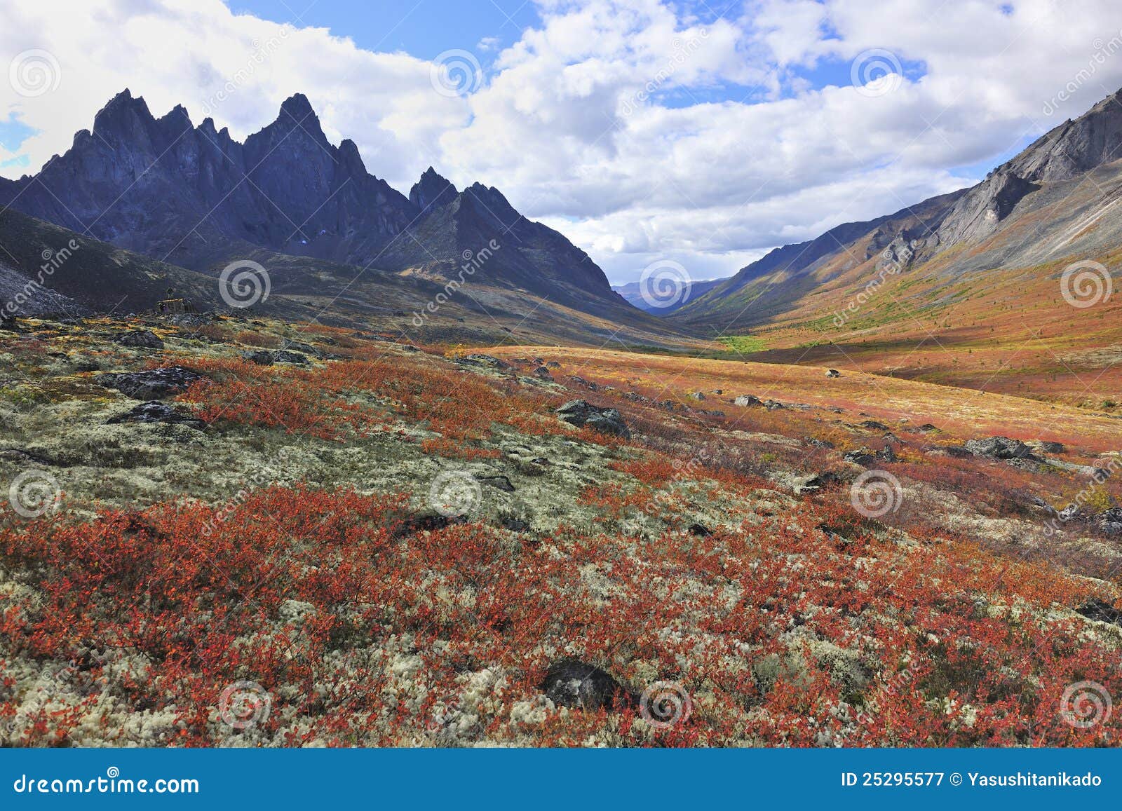 Fall arctic landscape stock image. Image of scenery, tundra - 25295577