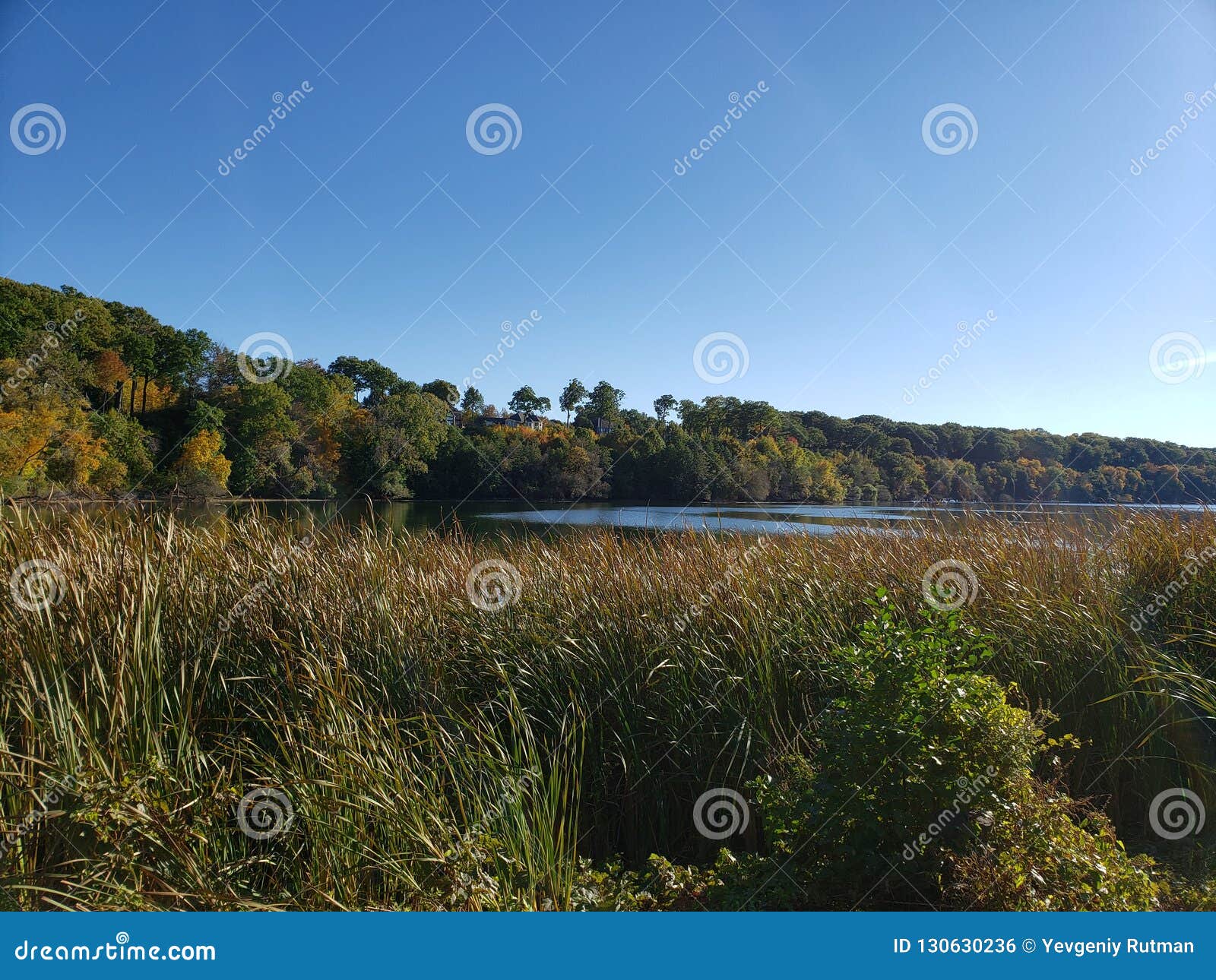 Fall Around the Lake Ontario Stock Photo - Image of views, south: 130630236