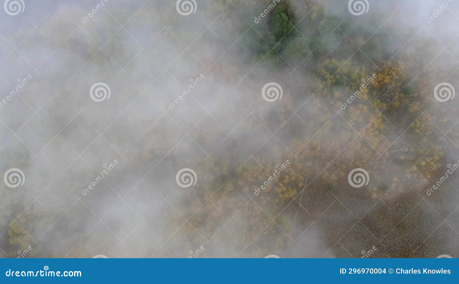 Aerial View Down through Fog on an Aspen Forest in the Fall Stock ...