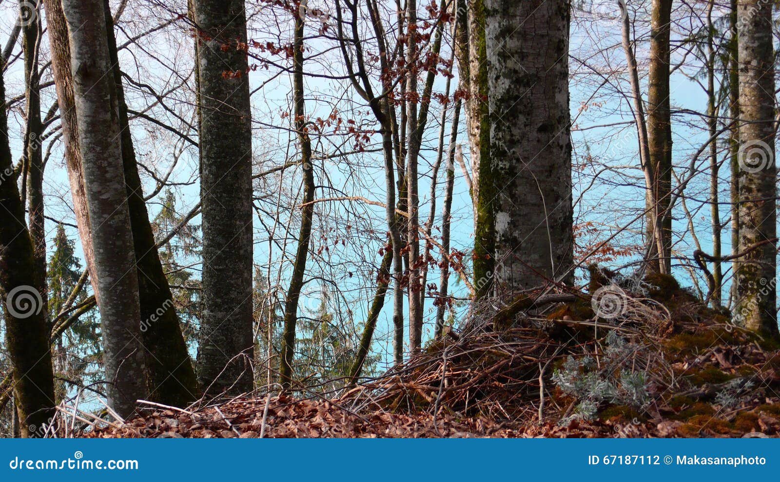 Fall / Autumn in the Swiss Alps Stock Photo - Image of highlands ...