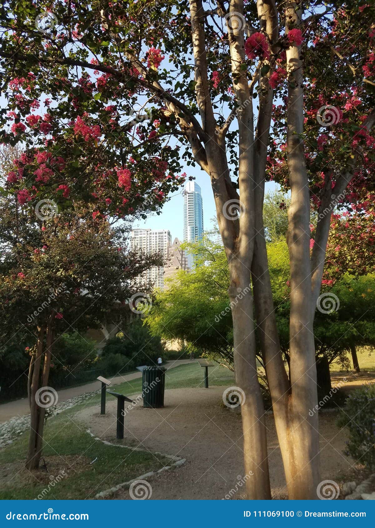 Austin stock photo. Image of city, fall, austin, nature - 111069100