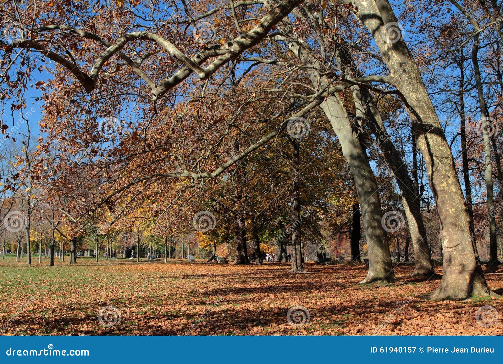 Fall stock image. Image of ecology, park, lyon, fall - 61940157