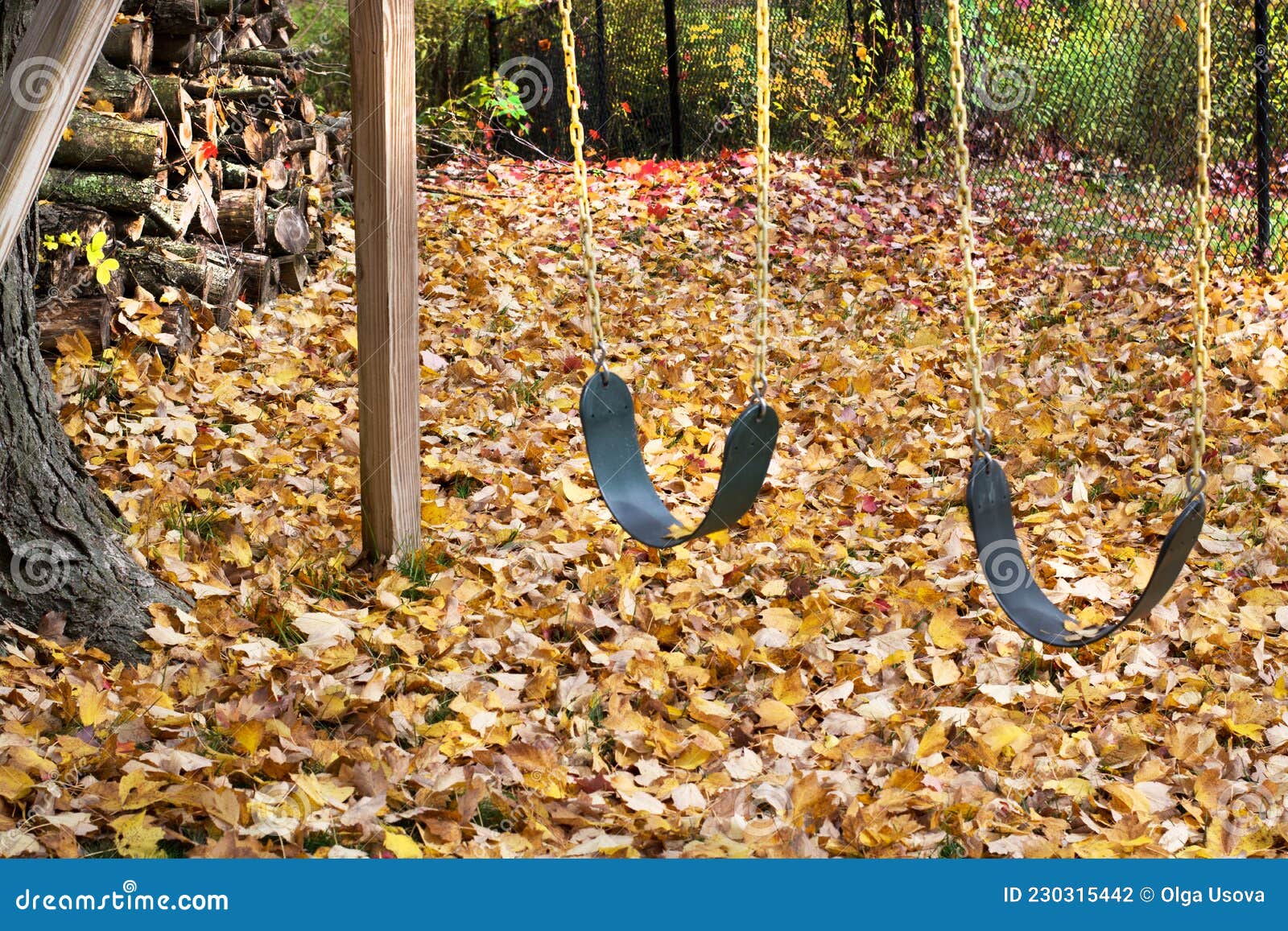 Fall or Autumn Backyard Full of Leaves and Swing Set Stock Photo ...