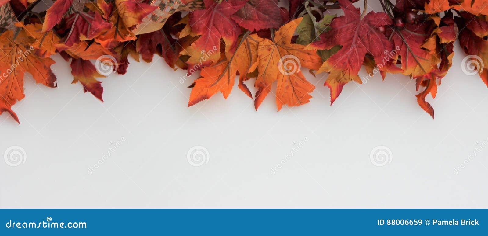 Fall or Autumn Border Horizontal Stock Image - Image of fall ...