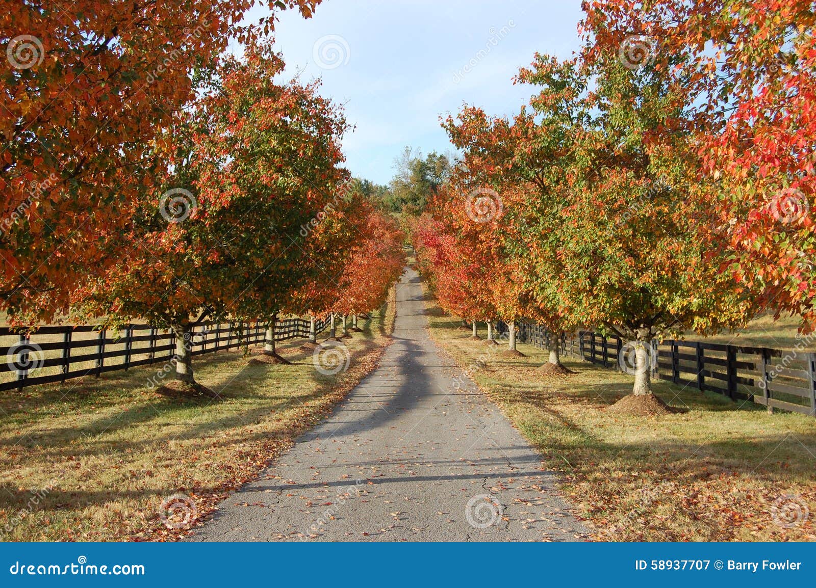 Fall stock image. Image of time, spring, gravel, fall - 58937707