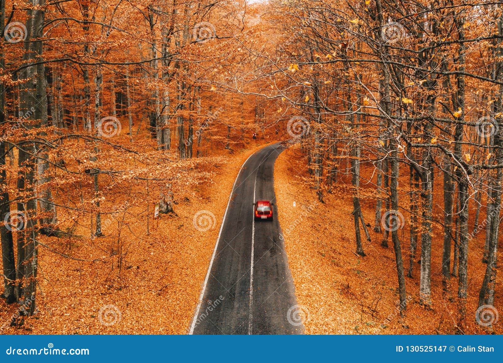 Fall Autumn Forest Road in the Middle of the Forest with Car Pas Stock ...