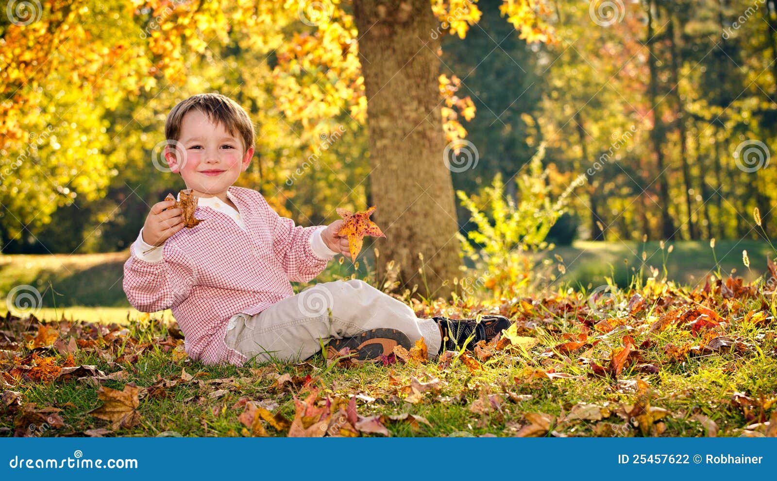 Fall or Autumn Portrait of Young, Preschooler Boy Stock Photo - Image ...