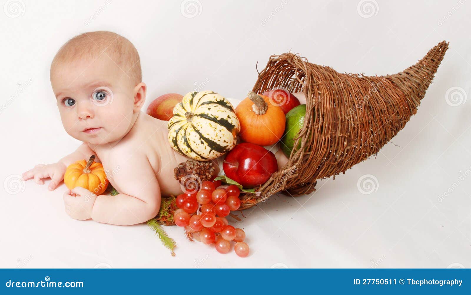 Fall Baby Cornucopia stock image. Image of horn, avocado - 27750511