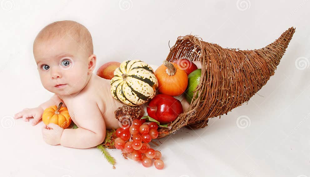 Fall Baby Cornucopia stock image. Image of horn, avocado - 27750511