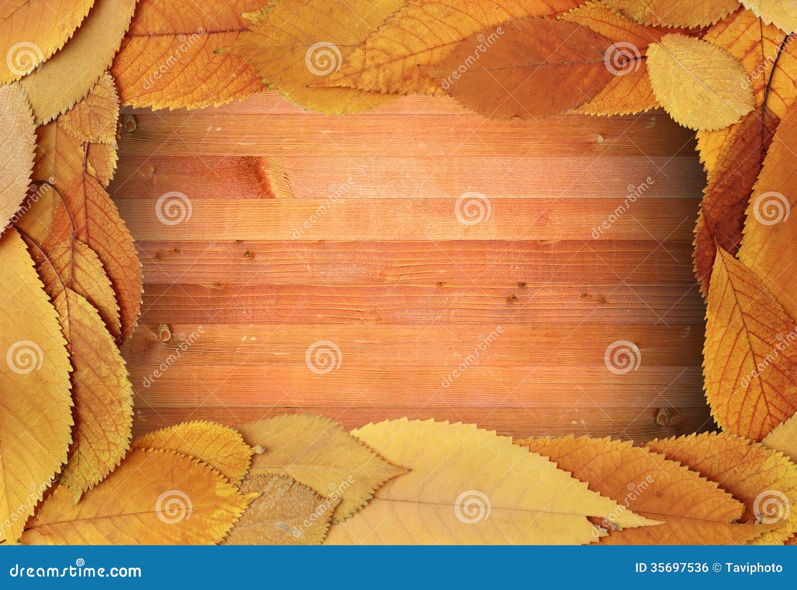 Fall Backdrop Foliage Frame Stock Photo - Image of closeup, leaf: 35697536
