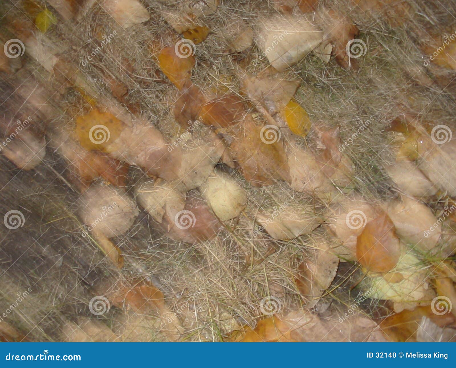 Fall Background stock photo. Image of weird, natural, concepts - 32140