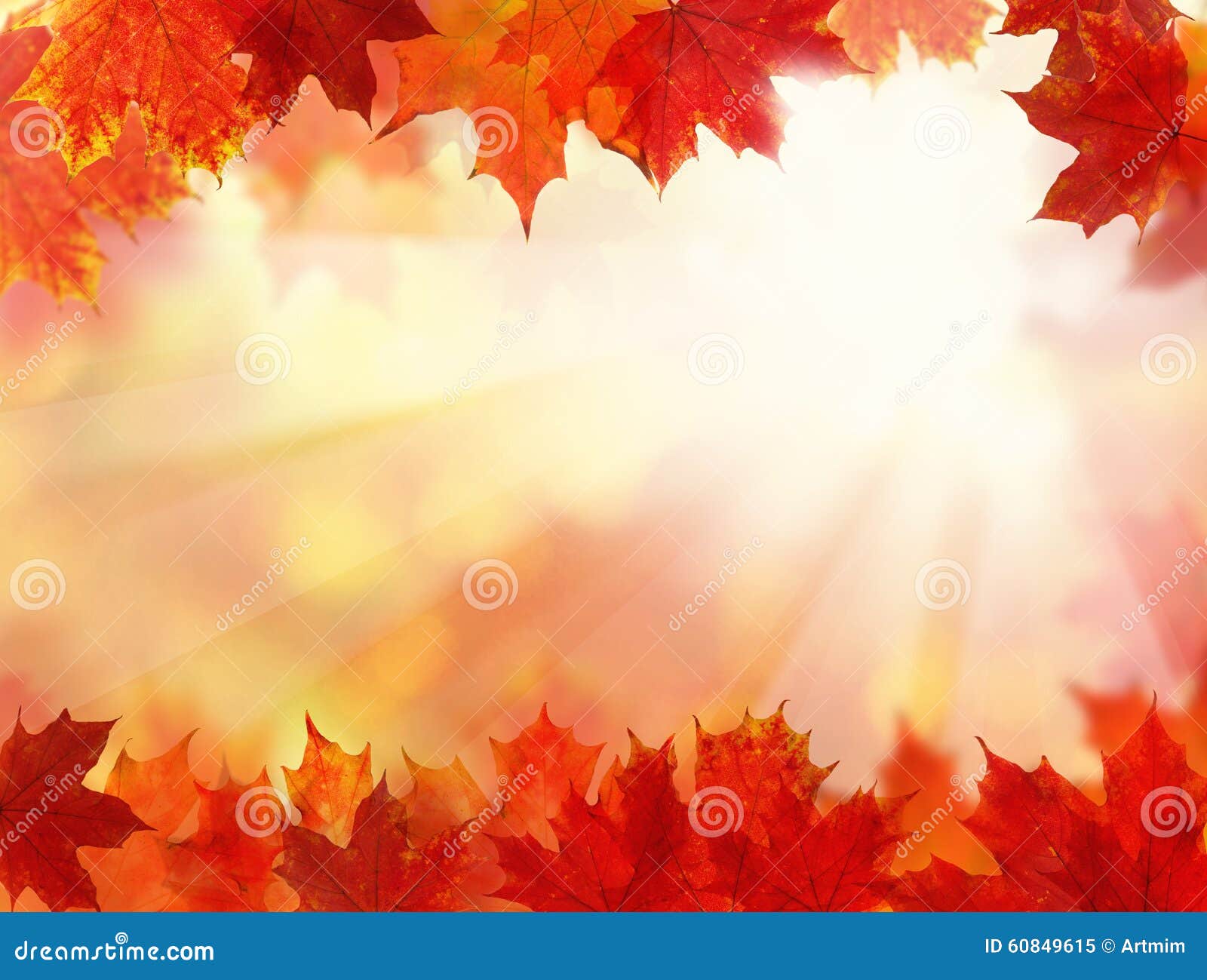 Fall Background with Autumn Leaves Stock Image - Image of bright, fall ...