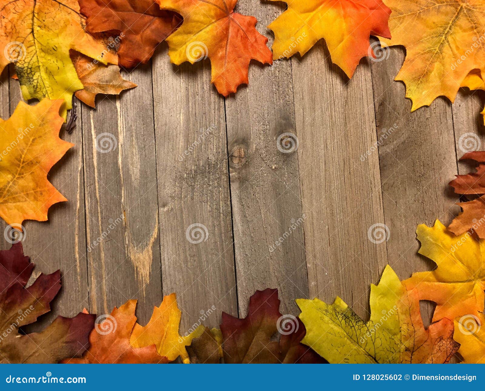 Fall Background border stock photo. Image of fall, orange - 128025602