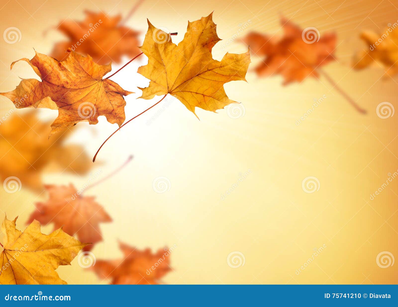 Fall Background with Falling Autumn Leaves Stock Photo - Image of light ...