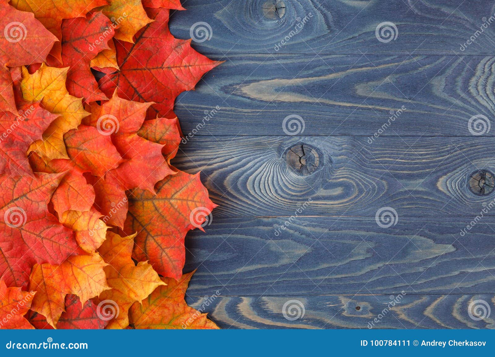 Fall Background Frame with Maple Leaves on Blue Stock Image - Image of ...