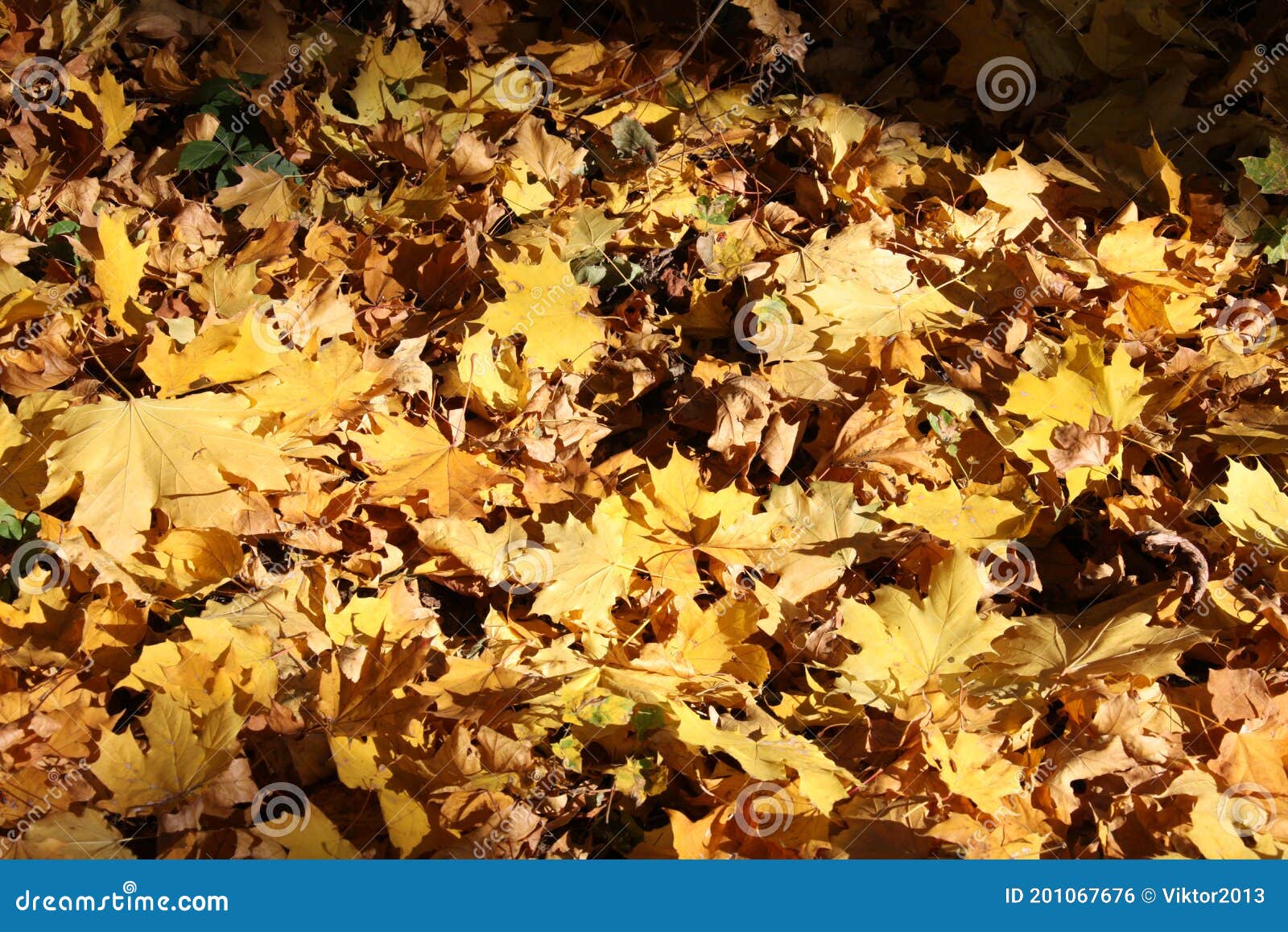 Fall background stock photo. Image of abstract, style - 201067676