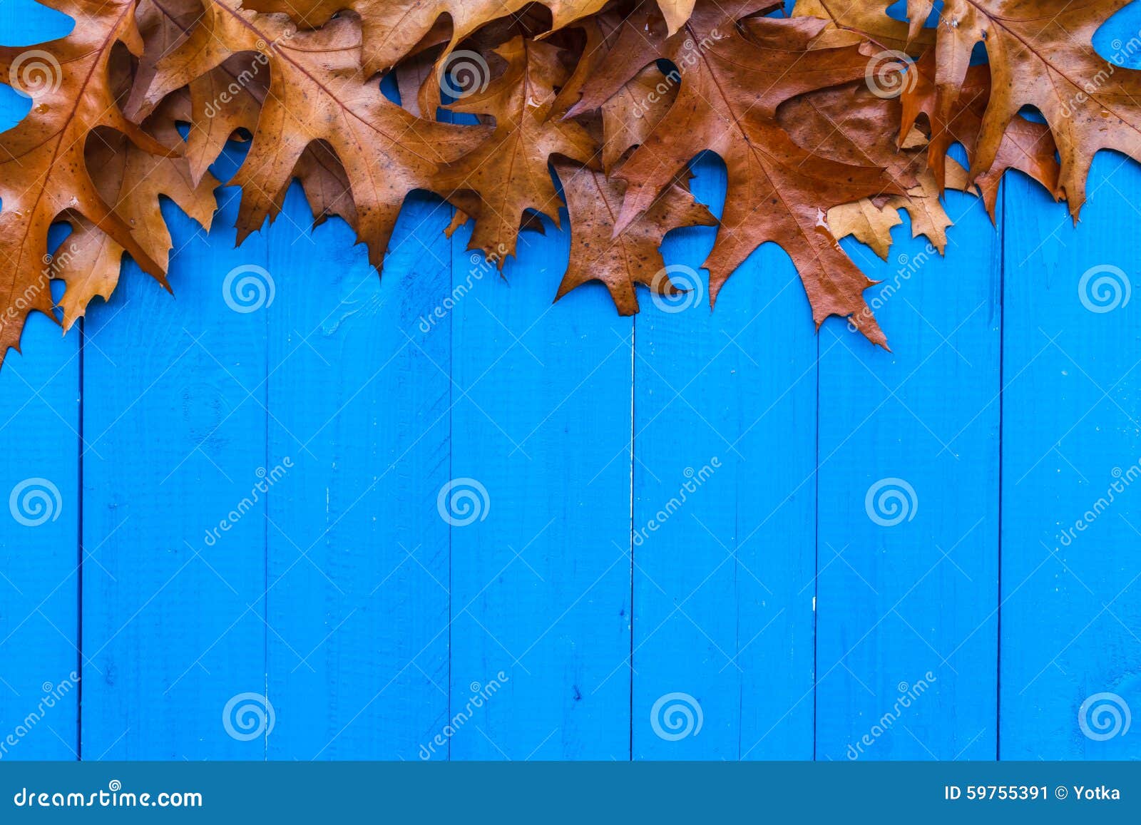Fall Background Leaves Blue Boards Stock Image - Image of autumnal ...