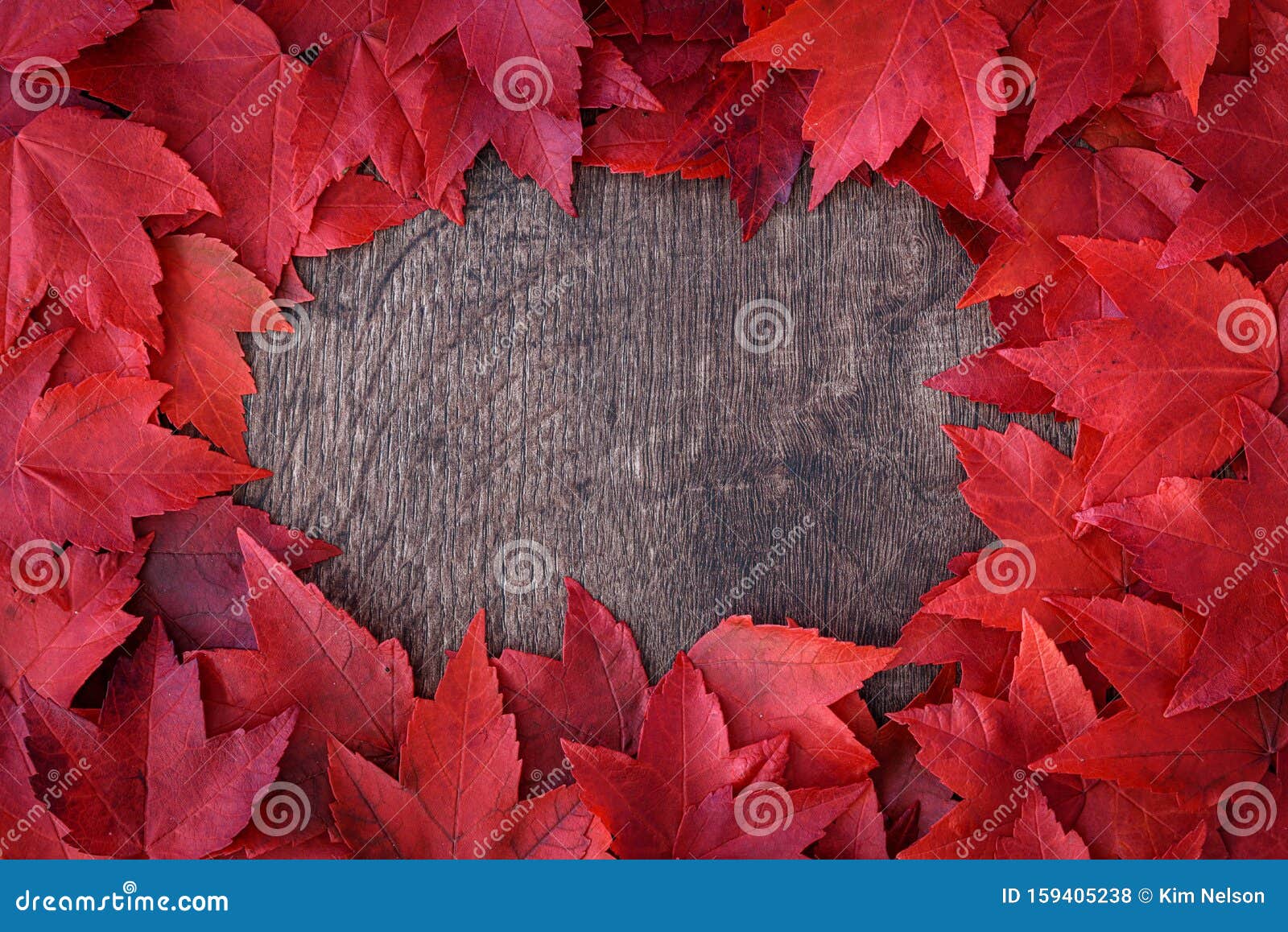 Fall Background, Red Maple Leaves Making a Round Frame on a Rustic Wood ...