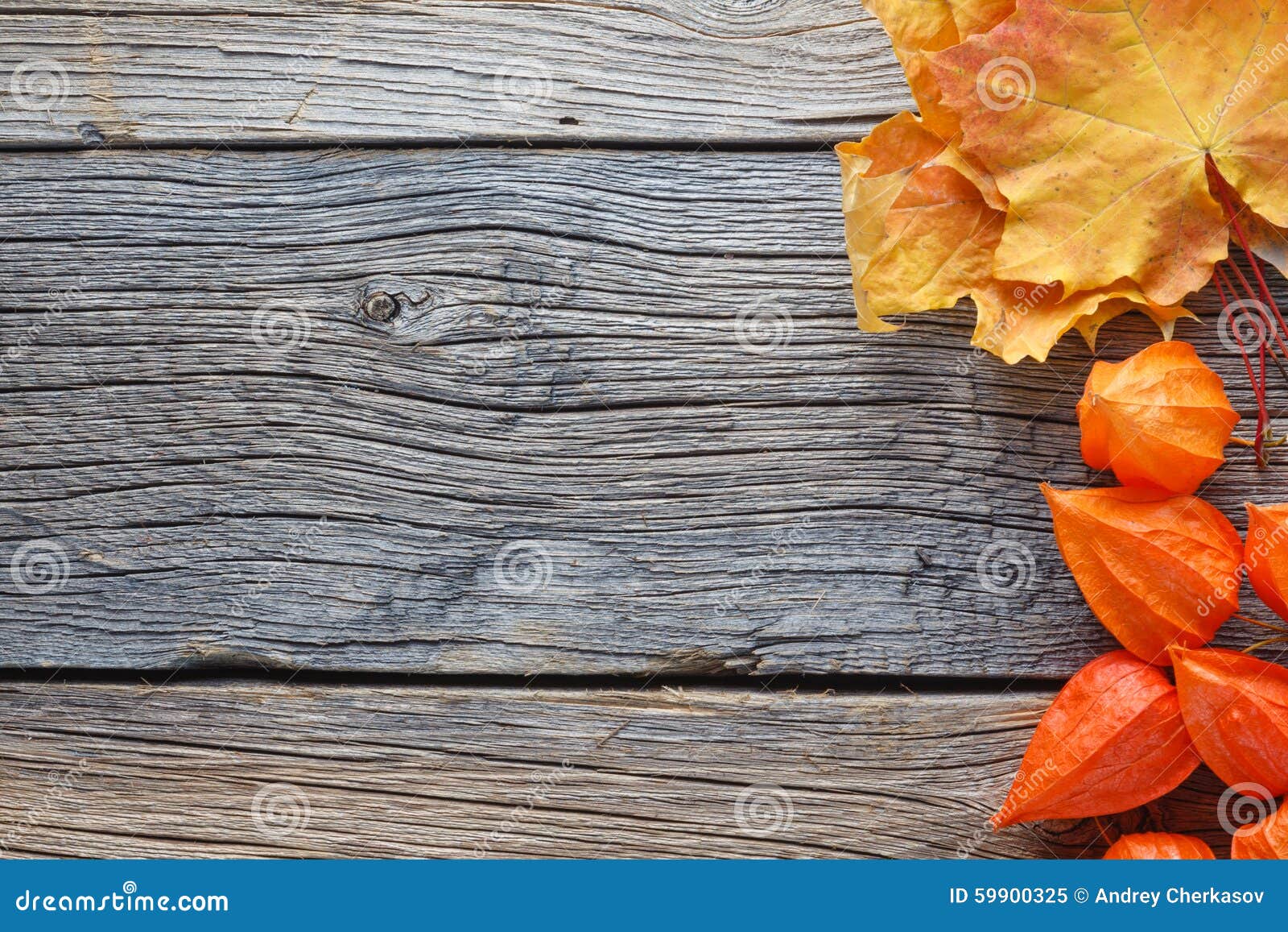 Fall background stock image. Image of rustic, beautiful - 59900325