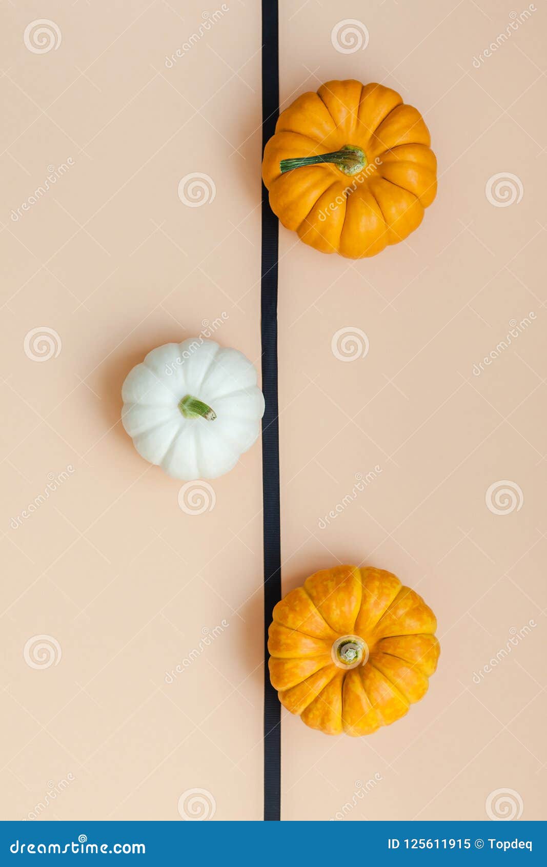 Fall Background with Small Pumpkins Stock Image - Image of october ...