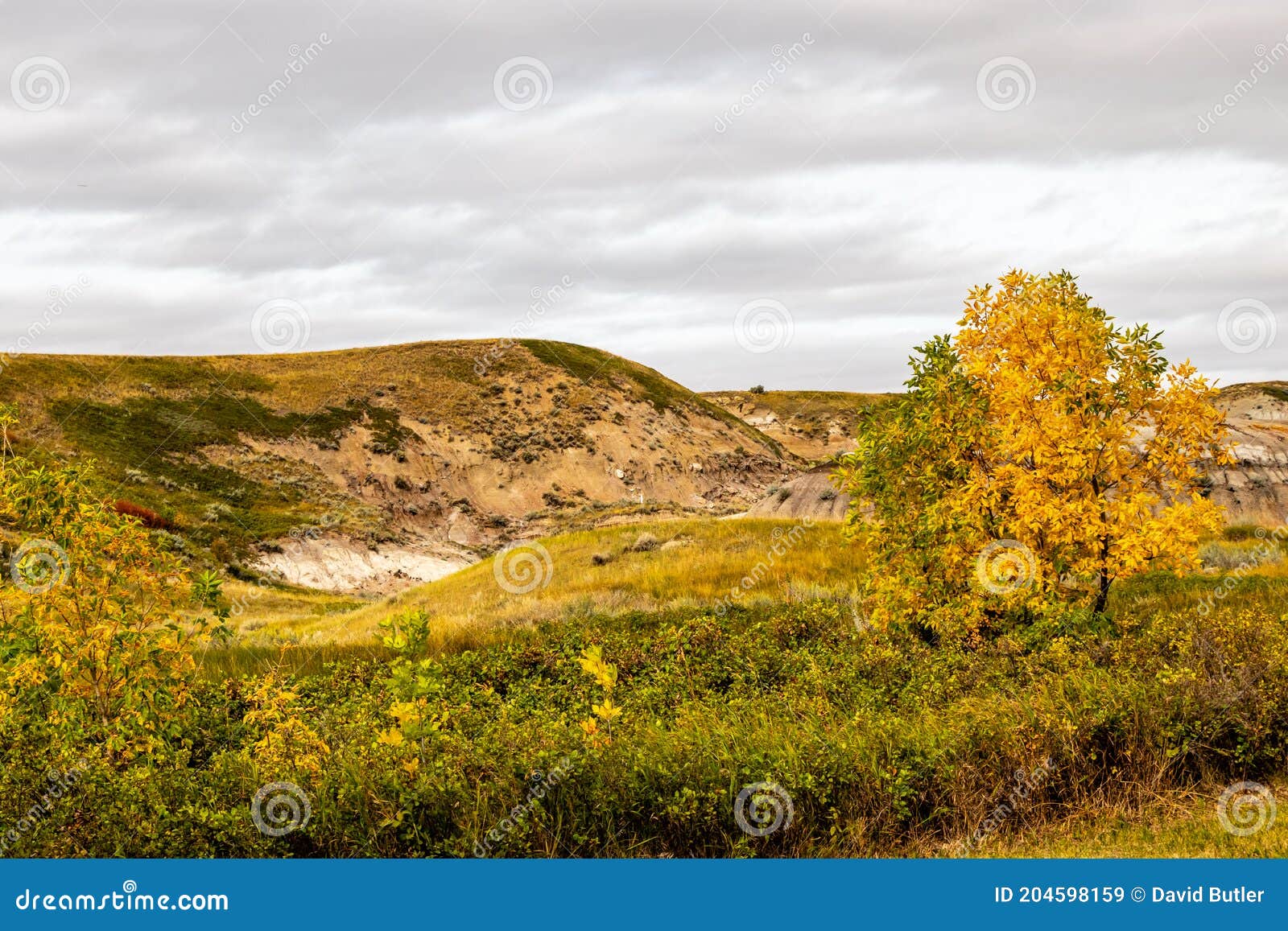 Fall in the Badlands. Midland Provincial Park Alberta Canada Stock ...