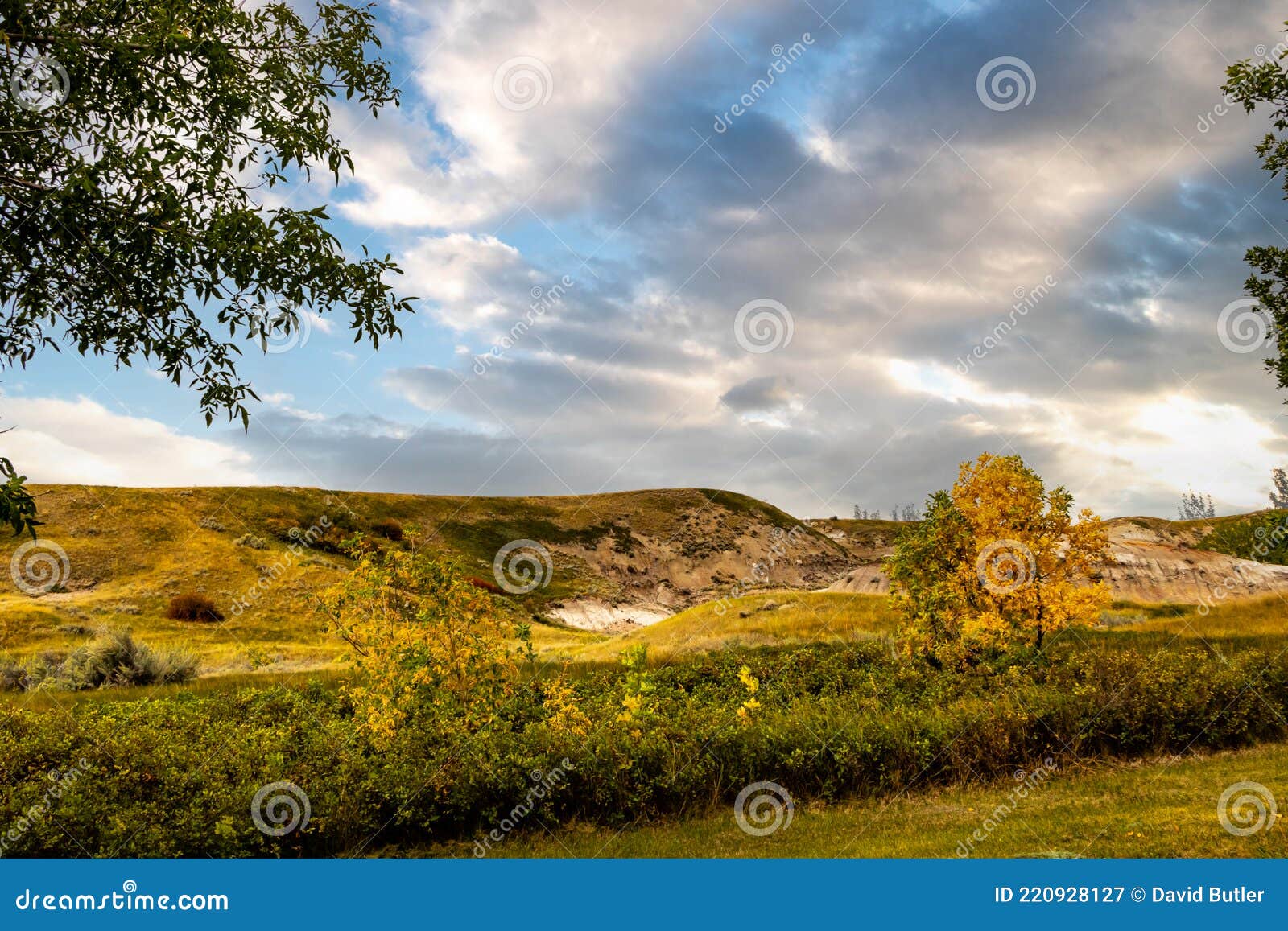 Fall in the Badlands. Midland Provincial Park, Alberta, Canada Stock ...