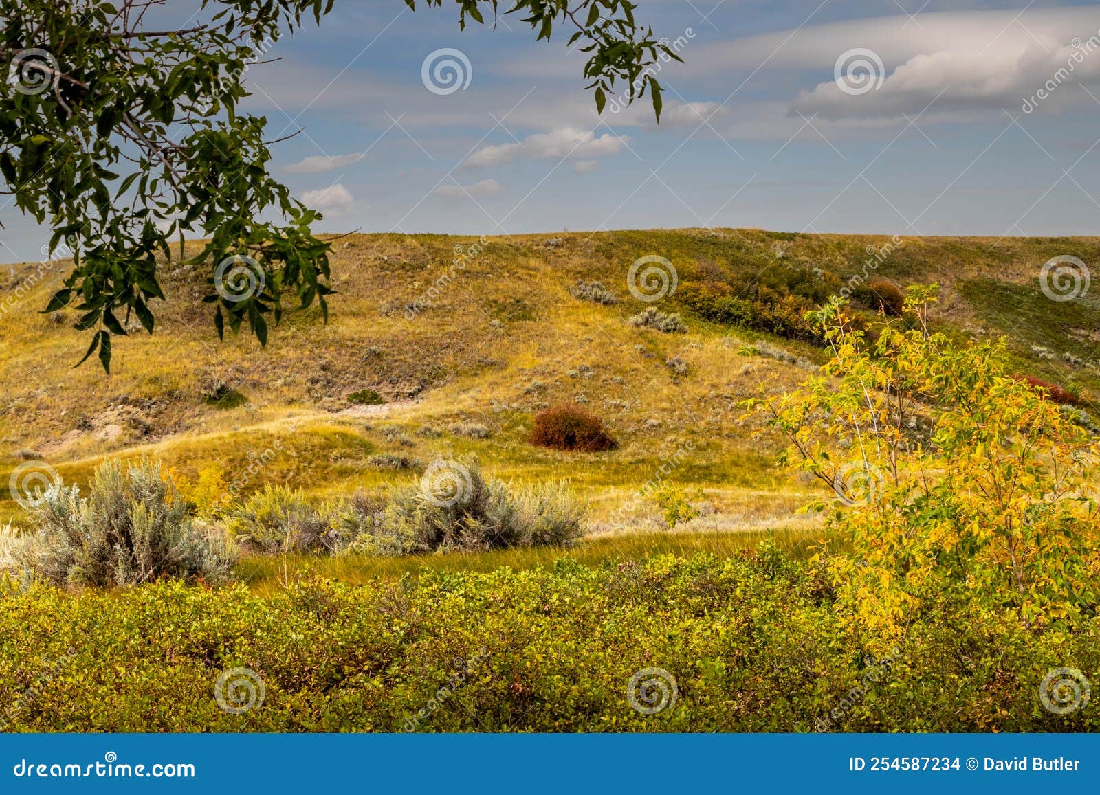 Fall in the Badlands. Midland Provincial Park, Alberta, Canada Stock ...