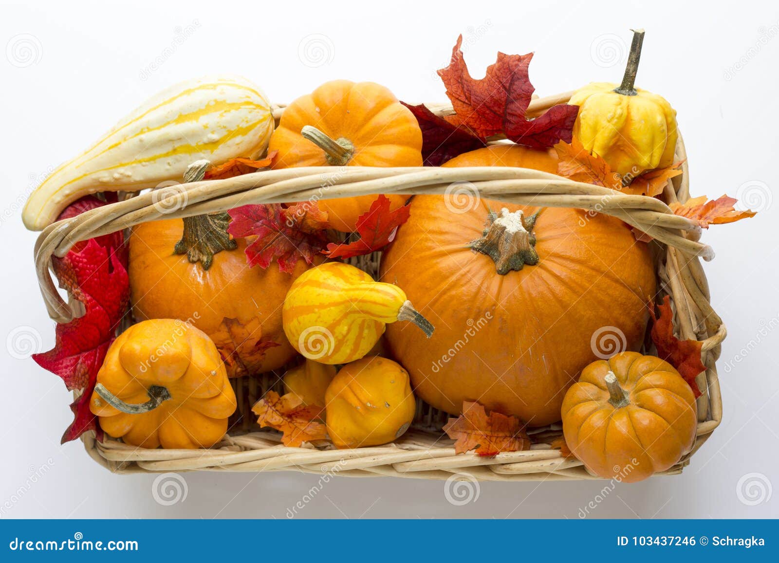 Fall Basket Overflowing with Pumpkins, Gourds & Fall Leaves Stock Photo ...