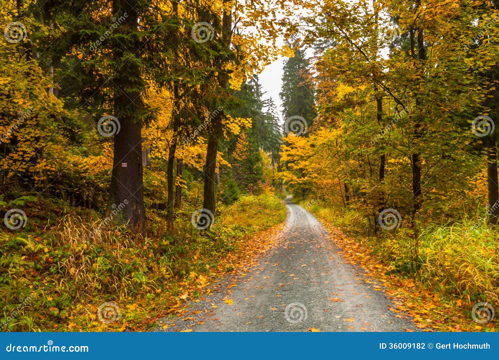 Fall in Bavaria stock photo. Image of bavaria, brown - 36009182