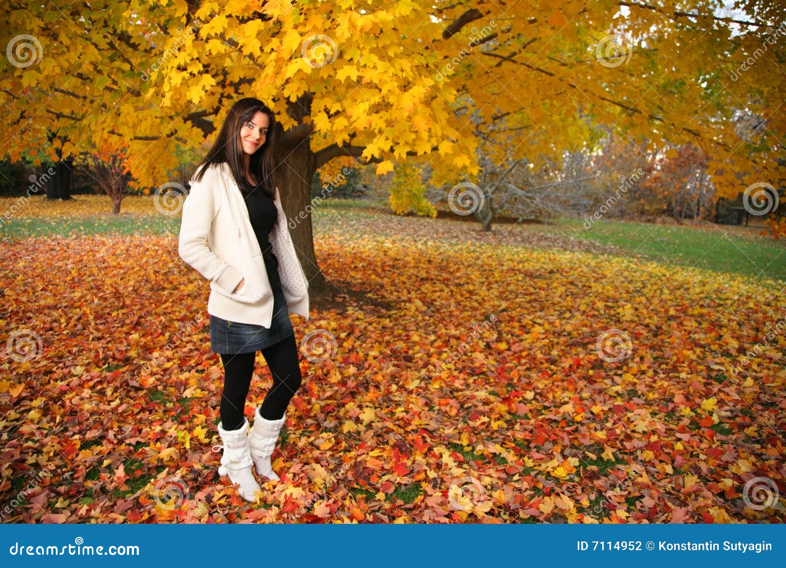 Fall beauty stock photo. Image of landscape, pretty, brunette - 7114952