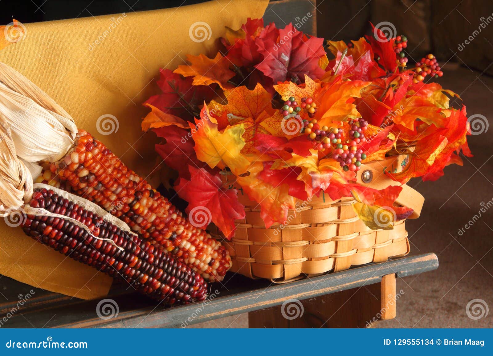 Fall Bench Left Far stock photo. Image of outdoor, life - 129555134