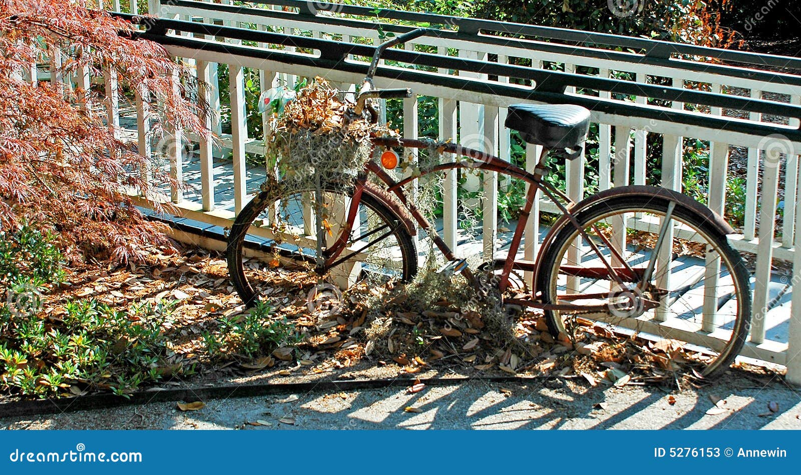 Fall Bike stock image. Image of garden, bicycle, fall - 5276153