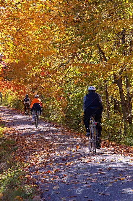 A Fall Bike Trip stock photo. Image of forest, autumn - 1942524