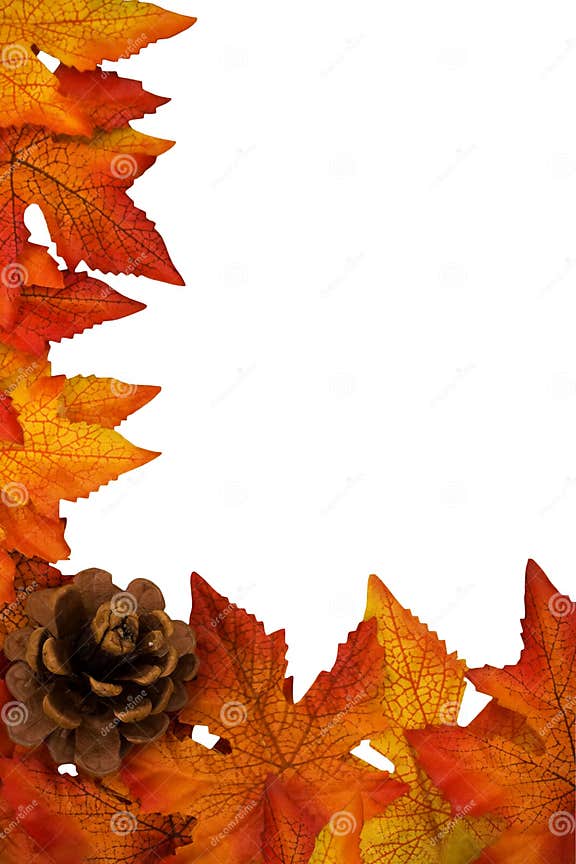 Fall Border stock image. Image of colourful, harvest - 10702125