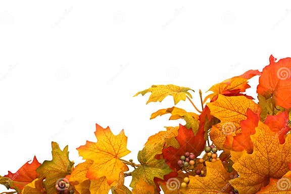 Fall Border stock image. Image of leaf, leaves, white - 11560519