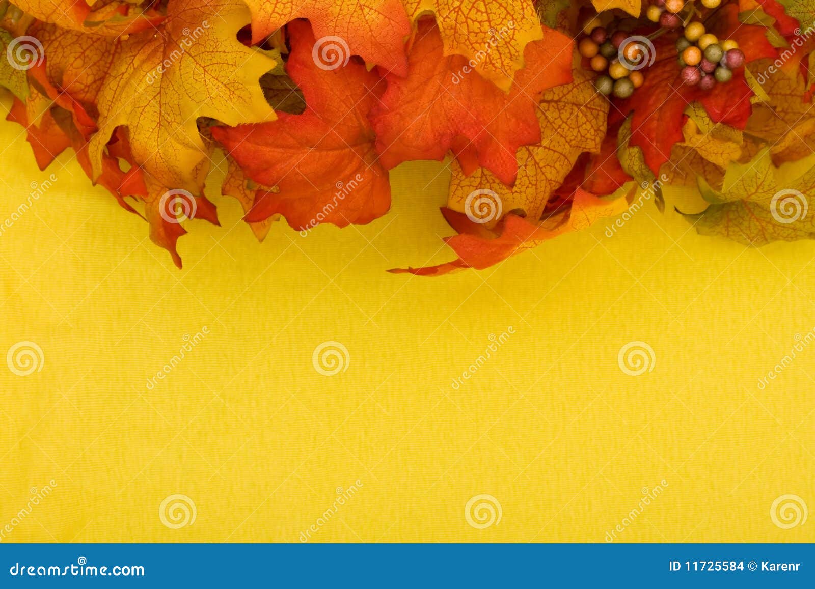 Fall Border stock photo. Image of harvest, copy, frame - 11725584